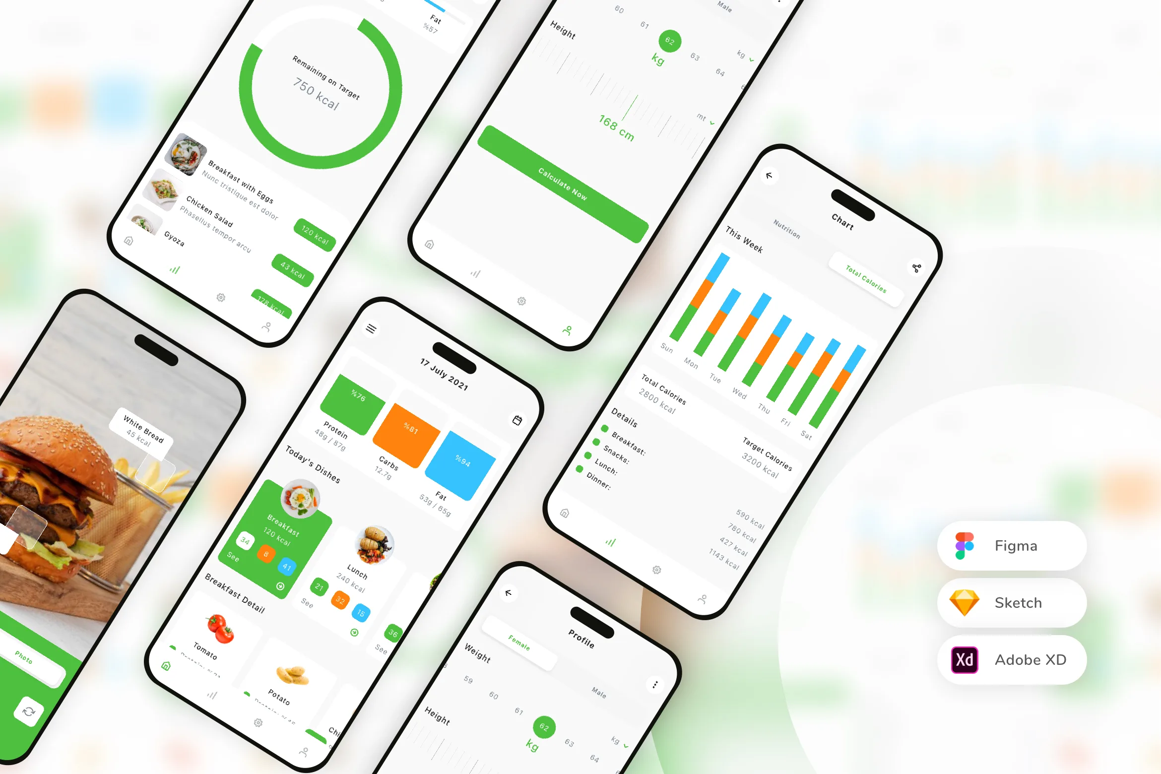 Calorie Counting Mobile App UI Kit for Figma, Sketch & XD | UIworkshop